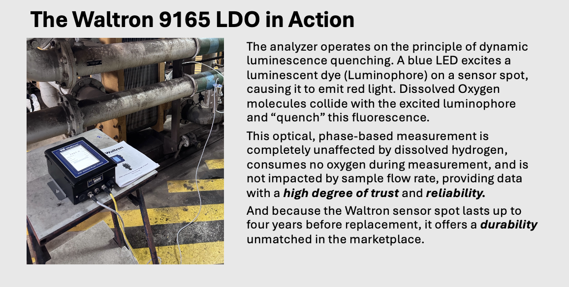 Luminescent Dissolved Oxygen Analyzer Case Study - Waltron
